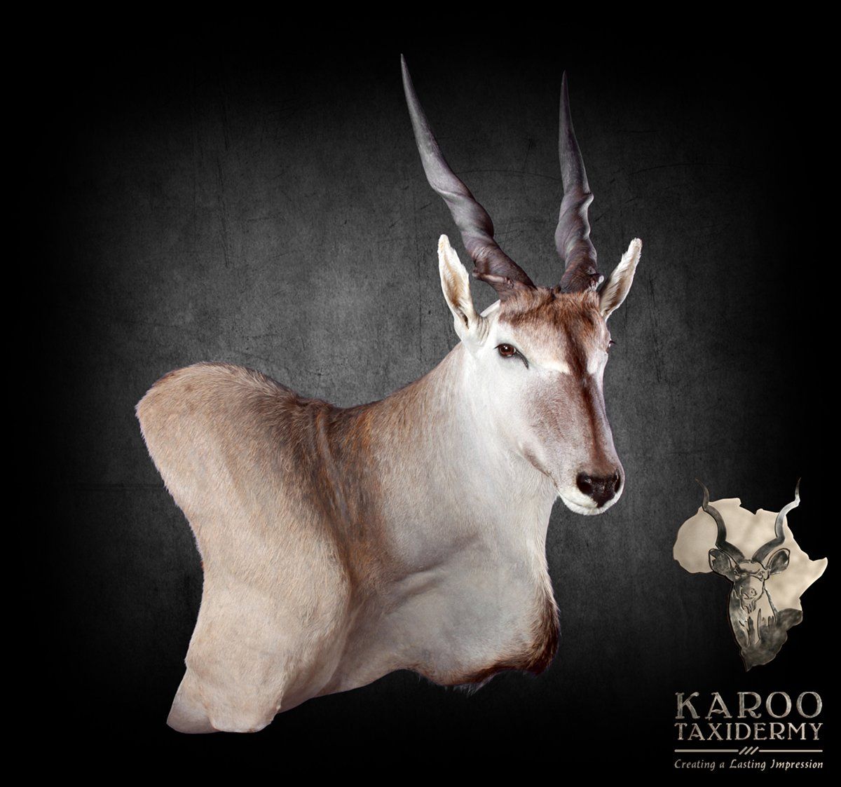 Eland Mounts